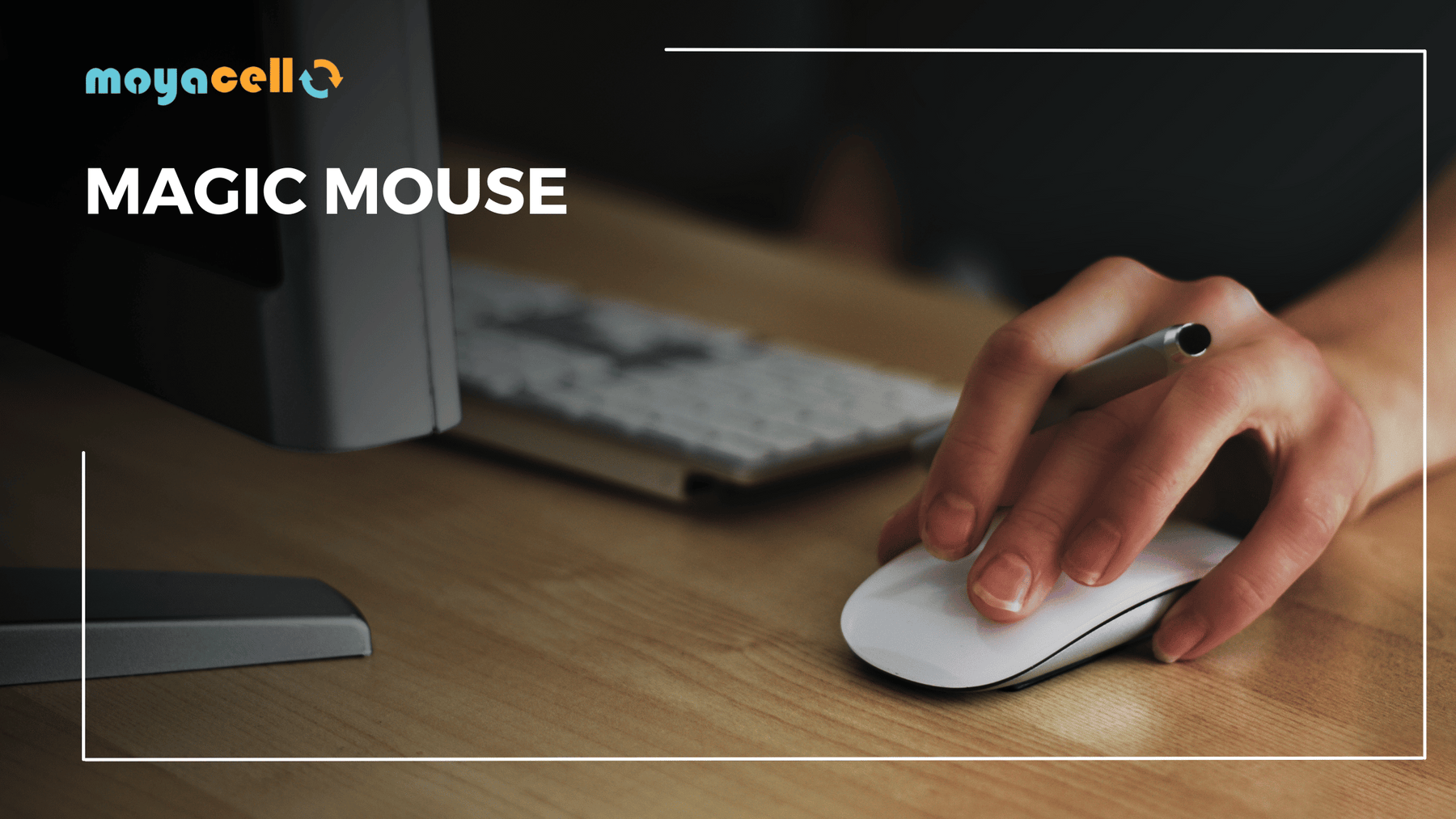 Magic Mouse El ratón de Apple | Especificaciones